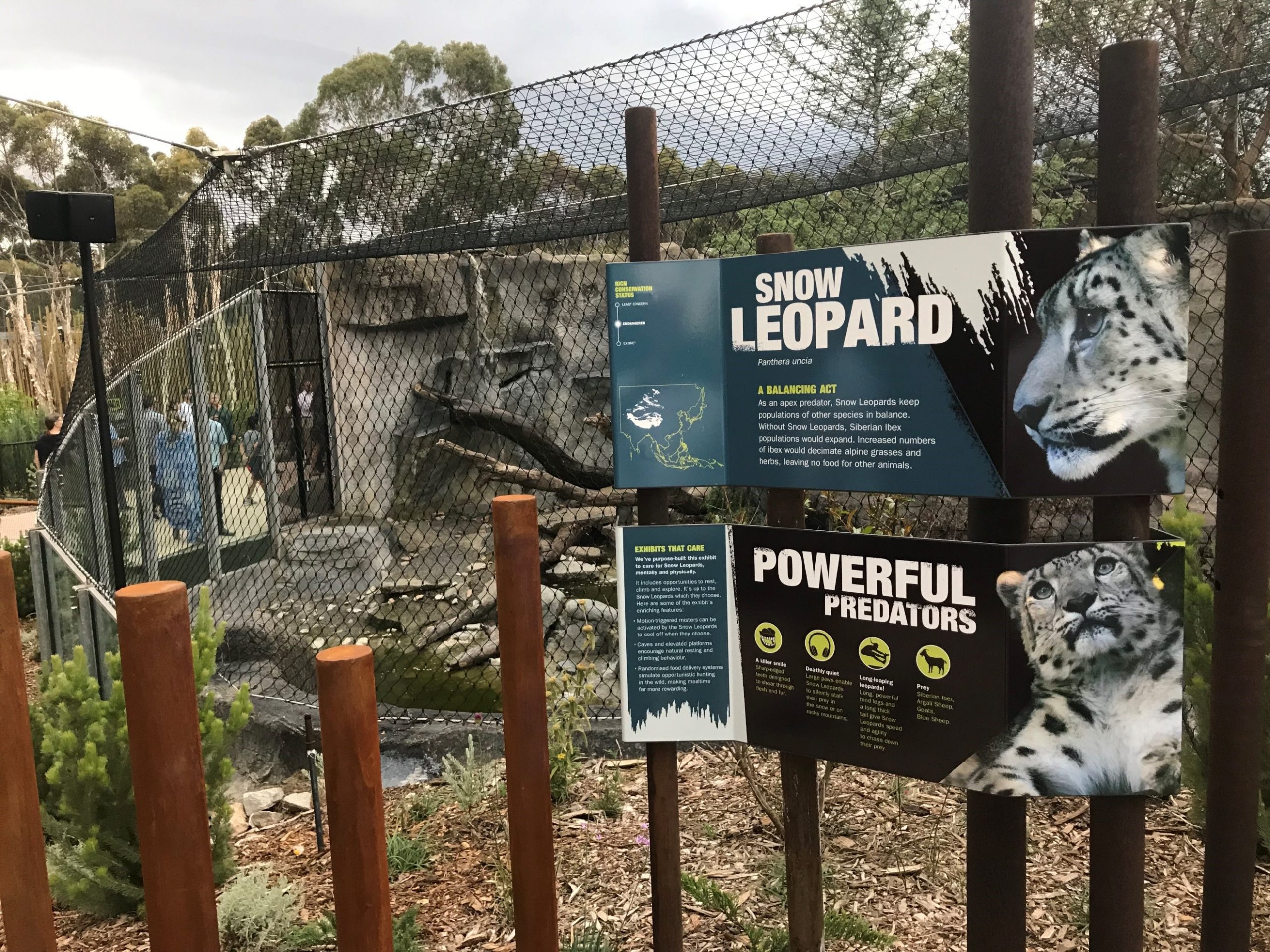 Melbourne Zoo – Carnivore Trail | Accuraco